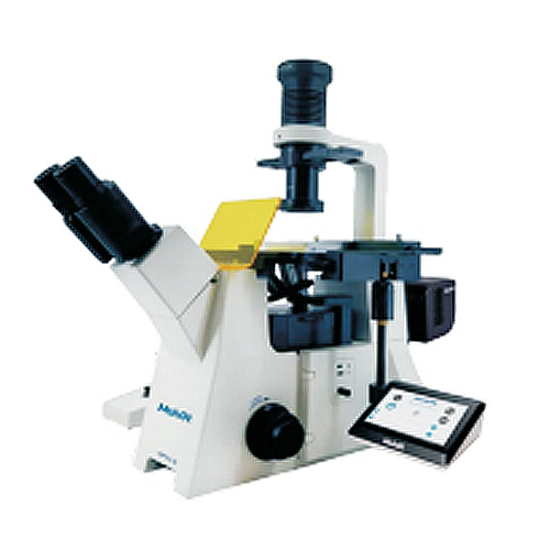 广州明美 倒置荧光显微镜 MF53-N